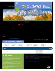 CIT 0019-22 CalSAWS Buzz Vol 4 Issue 1 – The home of CalSAWS