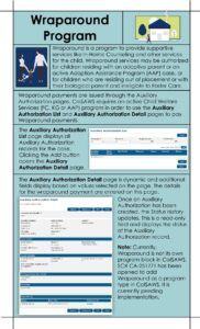 CIT 0298-23 CalSAWS Infographic – Wraparound Program – The home of CalSAWS