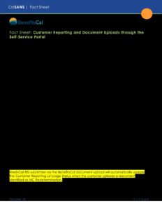 CIT 0356-23 Customer Reporting and Document Uploads through the SSP ...