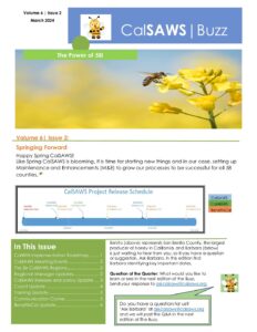 CIT 0045-24 CalSAWS Buzz Volume6 Issue2 – The home of CalSAWS