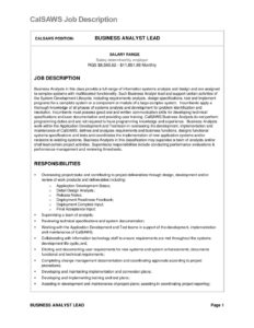 Business Analyst Lead – The home of CalSAWS