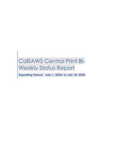 03_CalSAWS Central Print Bi-Weekly Status Report_071424 – The home of ...