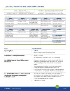 Medi-Cal CMSP Meeting Notes June 2024 – The home of CalSAWS