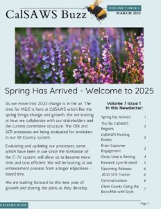 CIT 0042-25 CalSAWS Buzz, Vol. 7, Issue 1 – The home of CalSAWS